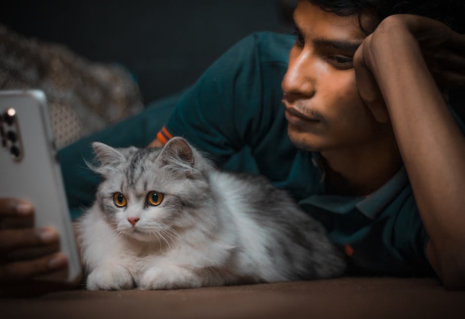 The Impact of Technology on Cat Care: Trends for 2026 – iKitties